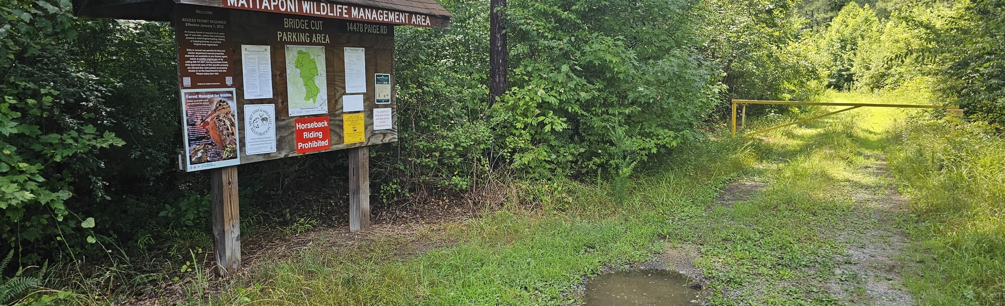 Mattaponi WMA Loop, Virginia - 12 Reviews, Map | AllTrails