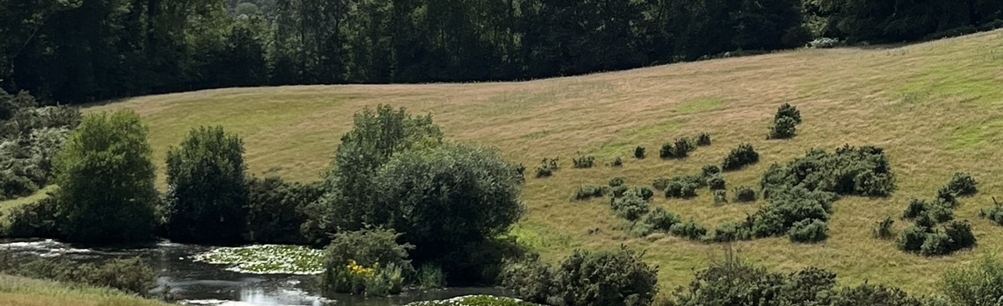 The Bolney Stage and Wykehurst Park Circular: 240 foto - West Sussex ...