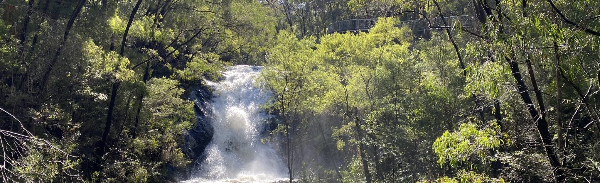 Karri Valley Loop via Stirling Track, Western Australia, Australia - 11 ...