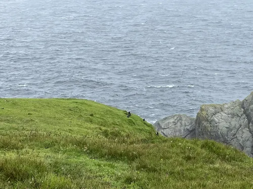 Best Hikes and Trails in Hermaness National Nature Reserve | AllTrails