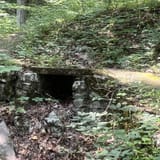 Russell Cave Trail, Alabama - 122 Reviews, Map | AllTrails