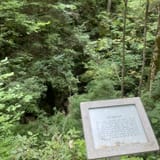 Russell Cave Trail, Alabama - 122 Reviews, Map | AllTrails