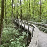 Russell Cave Trail, Alabama - 122 Reviews, Map | AllTrails