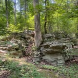 Russell Cave Trail, Alabama - 122 Reviews, Map | AllTrails