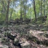 Russell Cave Trail, Alabama - 122 Reviews, Map | AllTrails