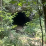 Russell Cave Trail, Alabama - 131 Reviews, Map | AllTrails