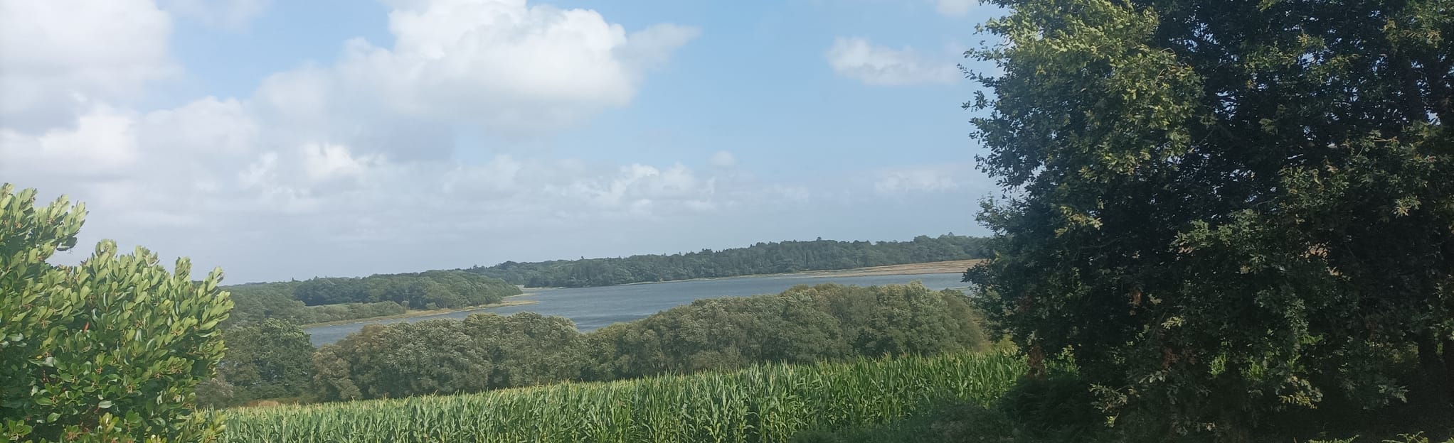 Merlevenez - Estanque de Rodes, 5 Fotos - Morbihan, Francia | AllTrails