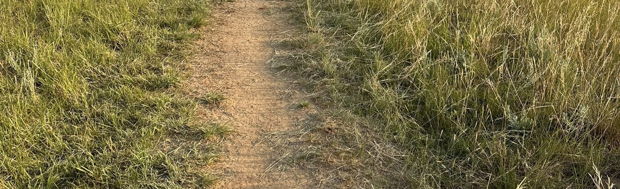 Antelope Loop Trail, Wyoming - 45 Reviews, Map | AllTrails