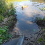 Yellow Point Bog Ecological Reserve and Yellow Point Park Loop, British ...