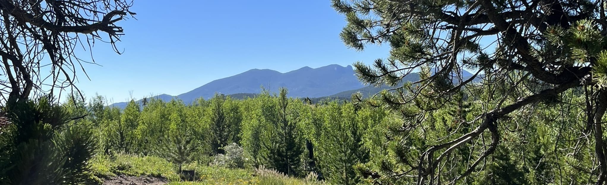 West Magnolia Loop Trail, Colorado - 385 Reviews, Map | AllTrails