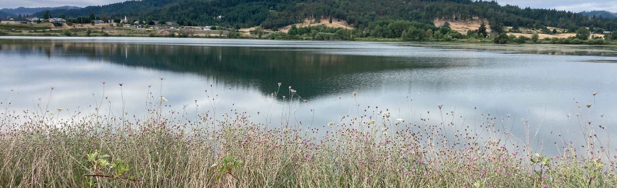 Ford's Pond Path , Oregon - 141 Reviews, Map | AllTrails