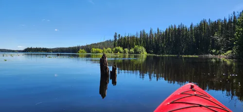 Best Hikes and Trails in Oyama Lake Recreation Site | AllTrails