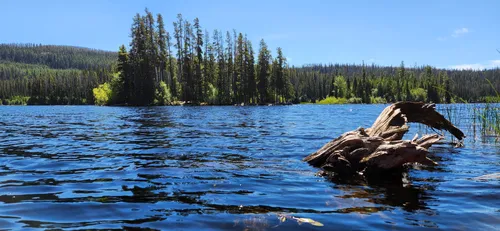 Best Hikes and Trails in Oyama Lake Recreation Site | AllTrails
