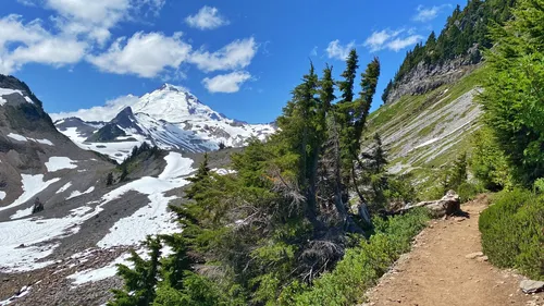 10 Best Trails and Hikes in Maple Falls | AllTrails