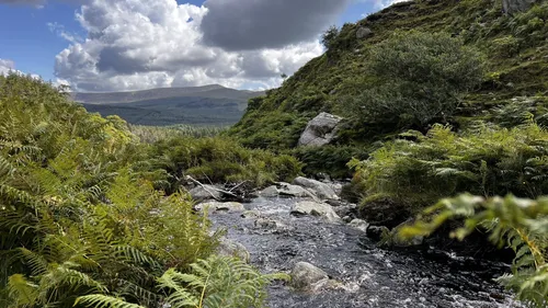Best 10 Hiking Trails in Wild Nephin National Park | AllTrails