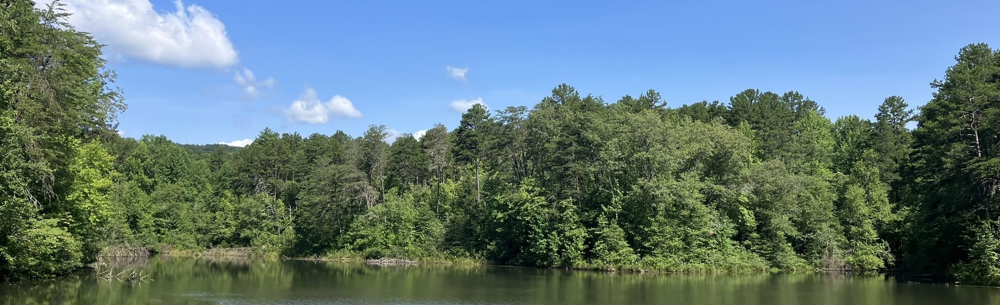 Oconee Station State Historic Site Trail: 102 Reviews, Map - South ...