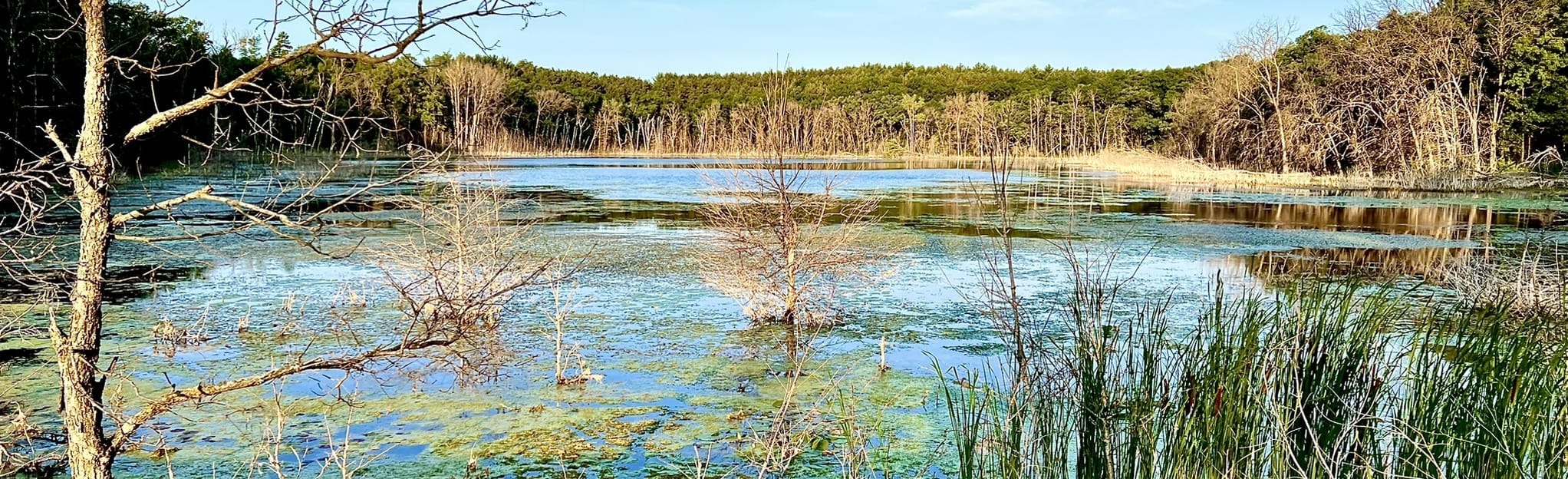 Ice Age Trail: Bohn Lake Segment, Wisconsin - 187 Reviews, Map | AllTrails