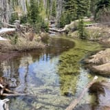 Box Lake Trail, Idaho - 267 Reviews, Map | AllTrails