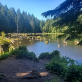 Lily and Lizard Lakes Loop Trail, Washington - 761 Reviews, Map | AllTrails