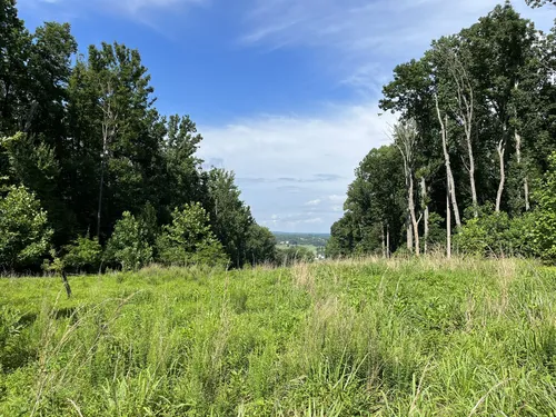 Best Hikes and Trails in Oregon Ridge Park | AllTrails