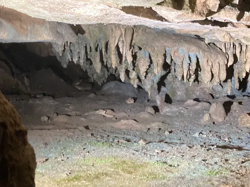 Best Hikes and Trails in Florida Caverns State Park | AllTrails