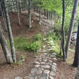 Raven Red Trail Loop, Wisconsin - 199 Reviews, Map | AllTrails