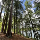 Joyce Estate Trail, Minnesota - 35 Reviews, Map | AllTrails