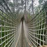 Dow Gardens Canopy Walk, Michigan - 138 Reviews, Map | AllTrails