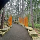 Dow Gardens Canopy Walk, Michigan - 138 Reviews, Map | AllTrails