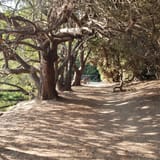 El Dorado Park Nature Trail, California - 1,429 Reviews, Map | AllTrails