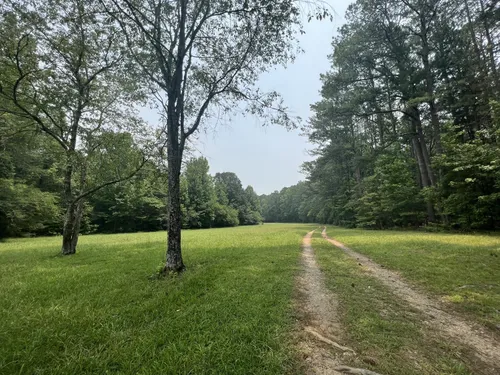 10 Best Hikes and Trails in Cochran Mill Nature Center | AllTrails