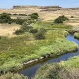 Towell Falls from Escure Ranch, Washington - 207 Reviews, Map | AllTrails