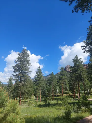 2023 Best 10 Trails and Hikes in Conifer | AllTrails