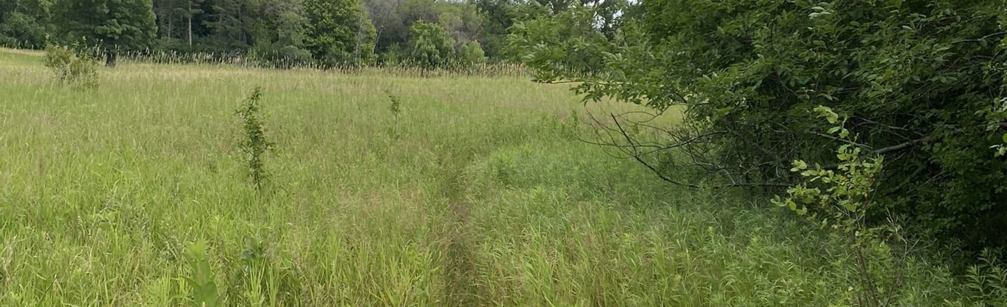 Bald Eagle Lake Overlook, Minnesota - 12 Reviews, Map | AllTrails