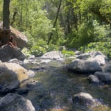 Potem Falls Trail, California - 320 Reviews, Map | AllTrails