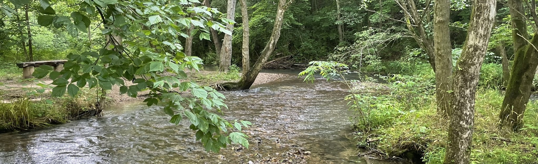 Turtle Ridge Trail, Tennessee - 99 Reviews, Map | AllTrails