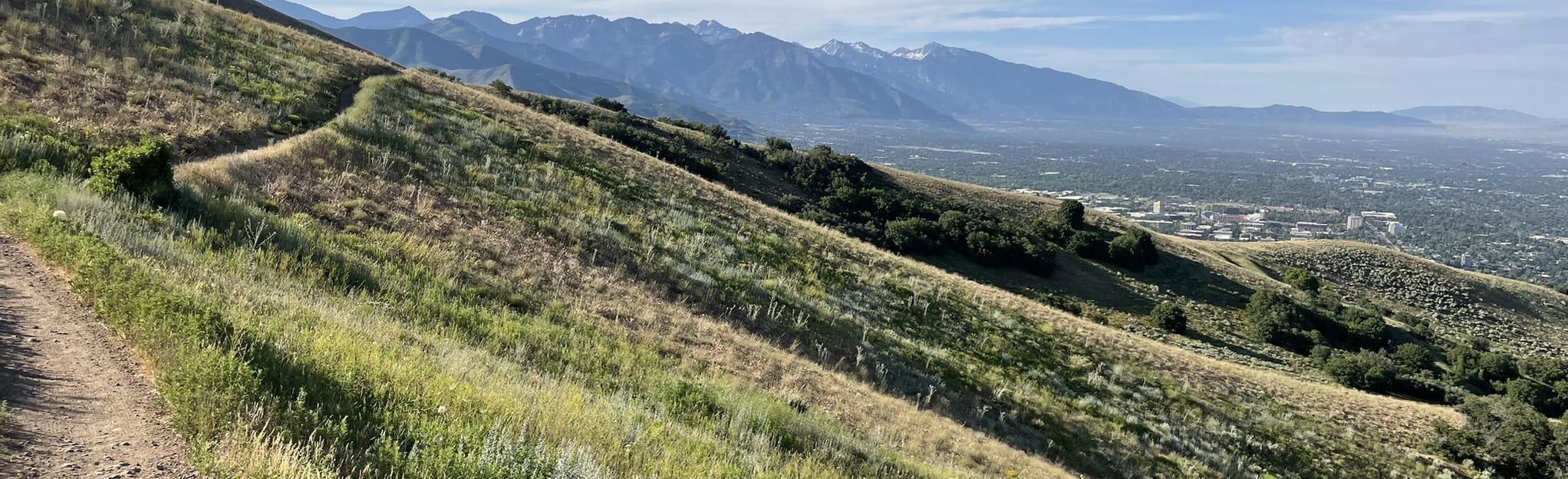 Bonneville Shoreline Trail, Dry Creek, and Bobsled Loop: 190 Reviews ...