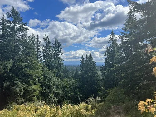 Best Hikes and Trails in Spring Lake/Lake Desire Park | AllTrails