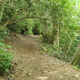 East Fork Trail, South Carolina - 250 Reviews, Map | AllTrails