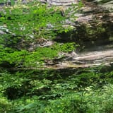 East Fork Trail, South Carolina - 250 Reviews, Map | AllTrails