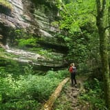 East Fork Trail, South Carolina - 250 Reviews, Map | AllTrails