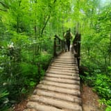 East Fork Trail, South Carolina - 250 Reviews, Map | AllTrails