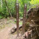 East Fork Trail, South Carolina - 250 Reviews, Map | AllTrails