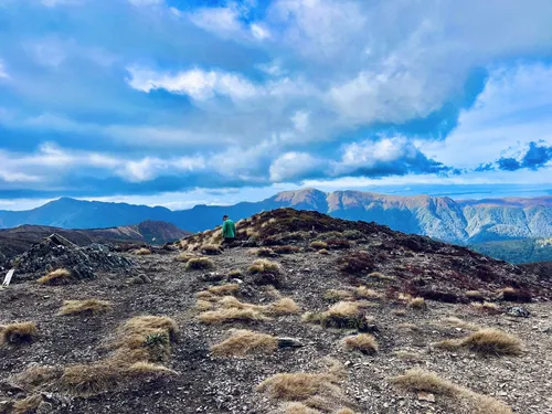 10 Best Hikes and Trails in Kaimanawa Forest Park | AllTrails