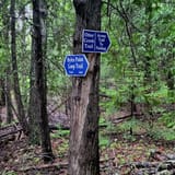 Devil’s Back Trail, Maine - 316 Reviews, Map | AllTrails