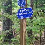 Devil’s Back Trail, Maine - 316 Reviews, Map | AllTrails