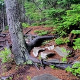 Devil’s Back Trail, Maine - 316 Reviews, Map | AllTrails
