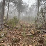 Mount Jerrabomberra, New South Wales, Australia - 186 Reviews, Map ...