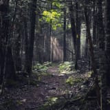 The Northern Presidentials via Appalachian Trail, New Hampshire - 73 ...