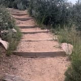 Forrest Allen Overlook, Colorado - 413 Reviews, Map | AllTrails